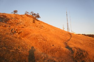 Fremont Peak Trail (Fremont Peak State Park, CA) – Live and Let Hike
