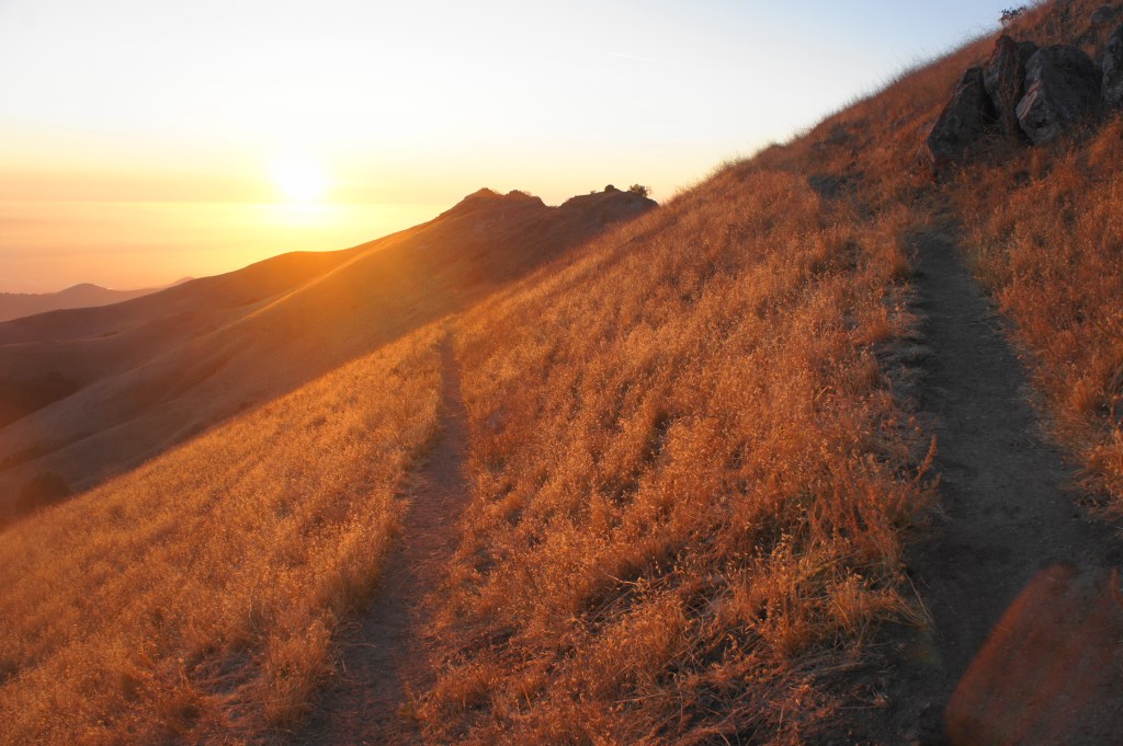 Fremont Peak Trail (Fremont Peak State Park, CA) – Live and Let Hike
