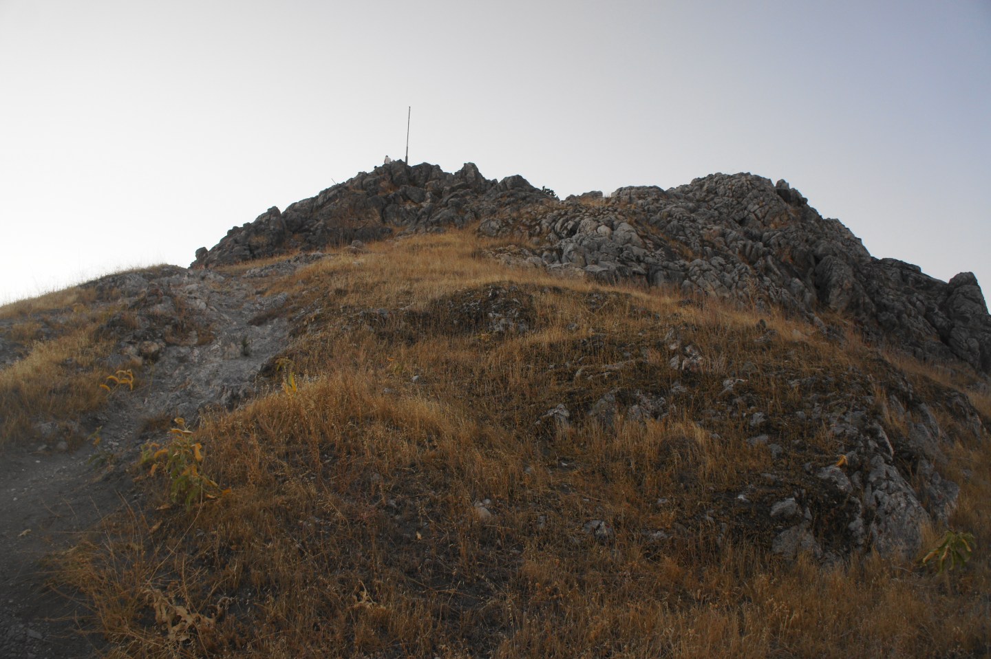 Fremont Peak Trail (Fremont Peak State Park, CA) – Live and Let Hike