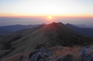 Fremont Peak Trail (Fremont Peak State Park, CA) – Live and Let Hike