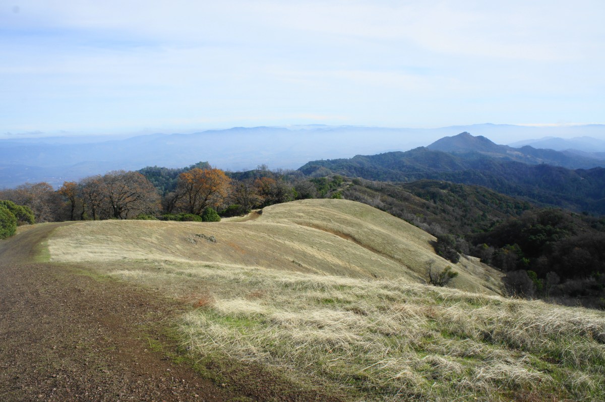 Bald Mountain Loop (Sugarloaf Ridge State Park, CA) – Live and Let Hike