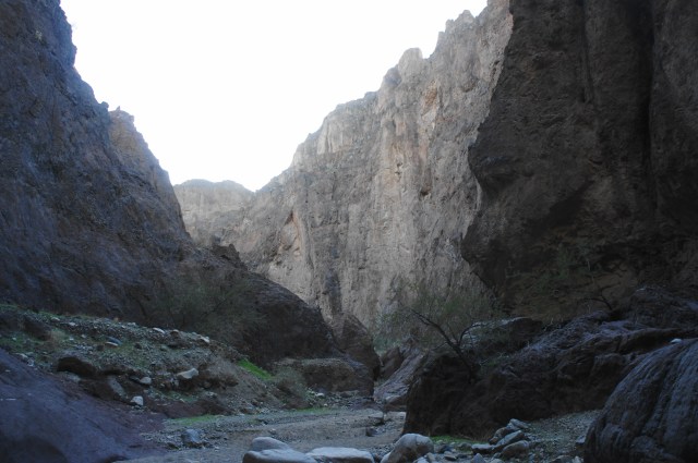 White Rock Canyon – Arizona Hot Spring Canyon Trail Loop (Lake Mead ...