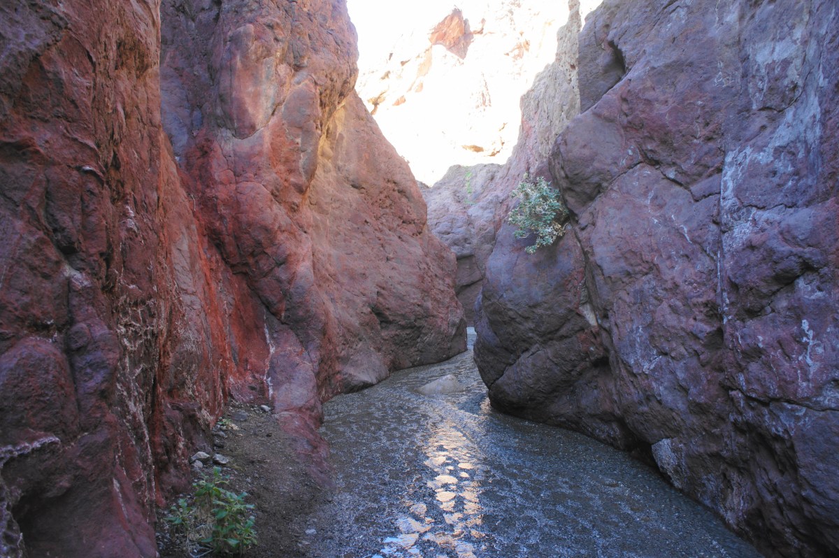 White Rock Canyon – Arizona Hot Spring Canyon Trail Loop (Lake Mead ...