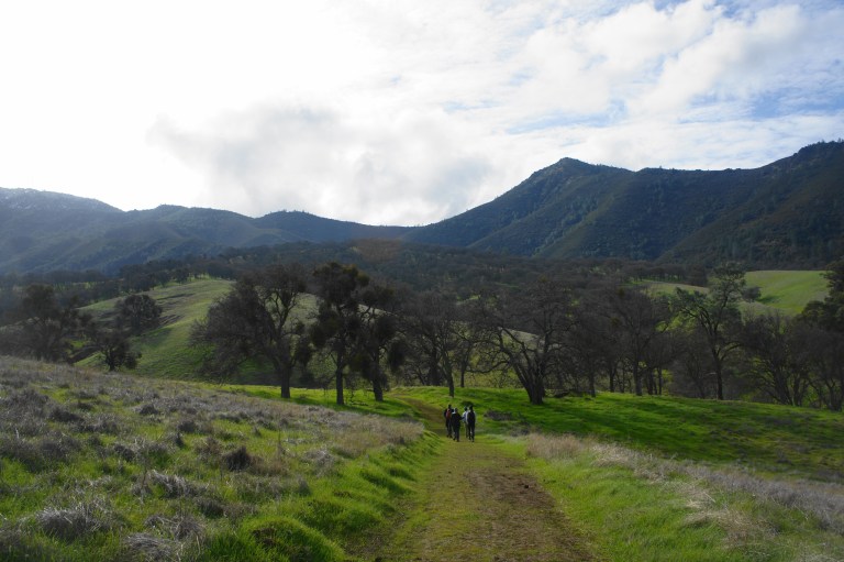 Falls Trail Loop (Mount Diablo State Park, CA) – Live and Let Hike