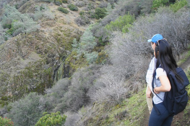 Falls Trail Loop (Mount Diablo State Park, CA) – Live and Let Hike