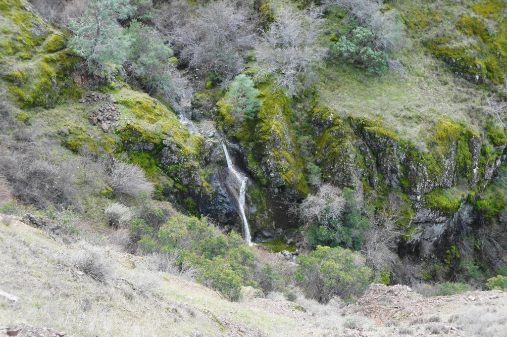 Falls Trail Loop (Mount Diablo State Park, CA) – Live and Let Hike