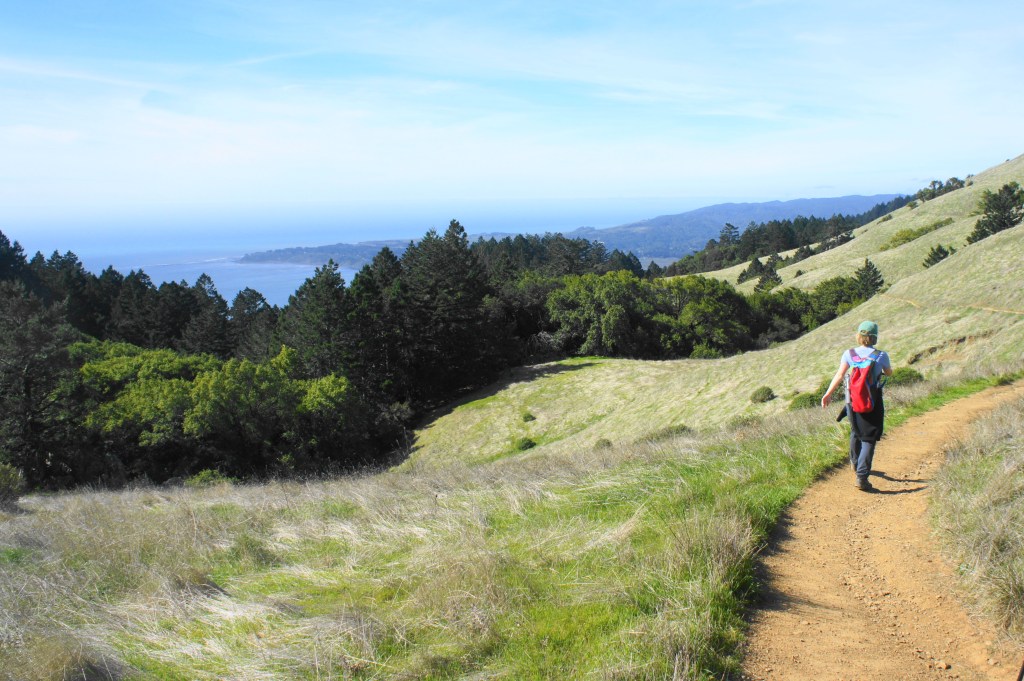Steep Ravine – Matt Davis Trail Loop (Mount Tamalpais State Park, CA ...