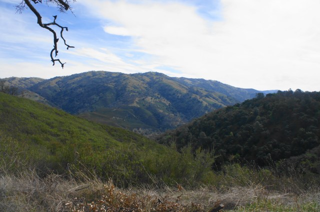 Ohlone Wilderness Trail (Ohlone Regional Wilderness, CA) – Live and Let ...