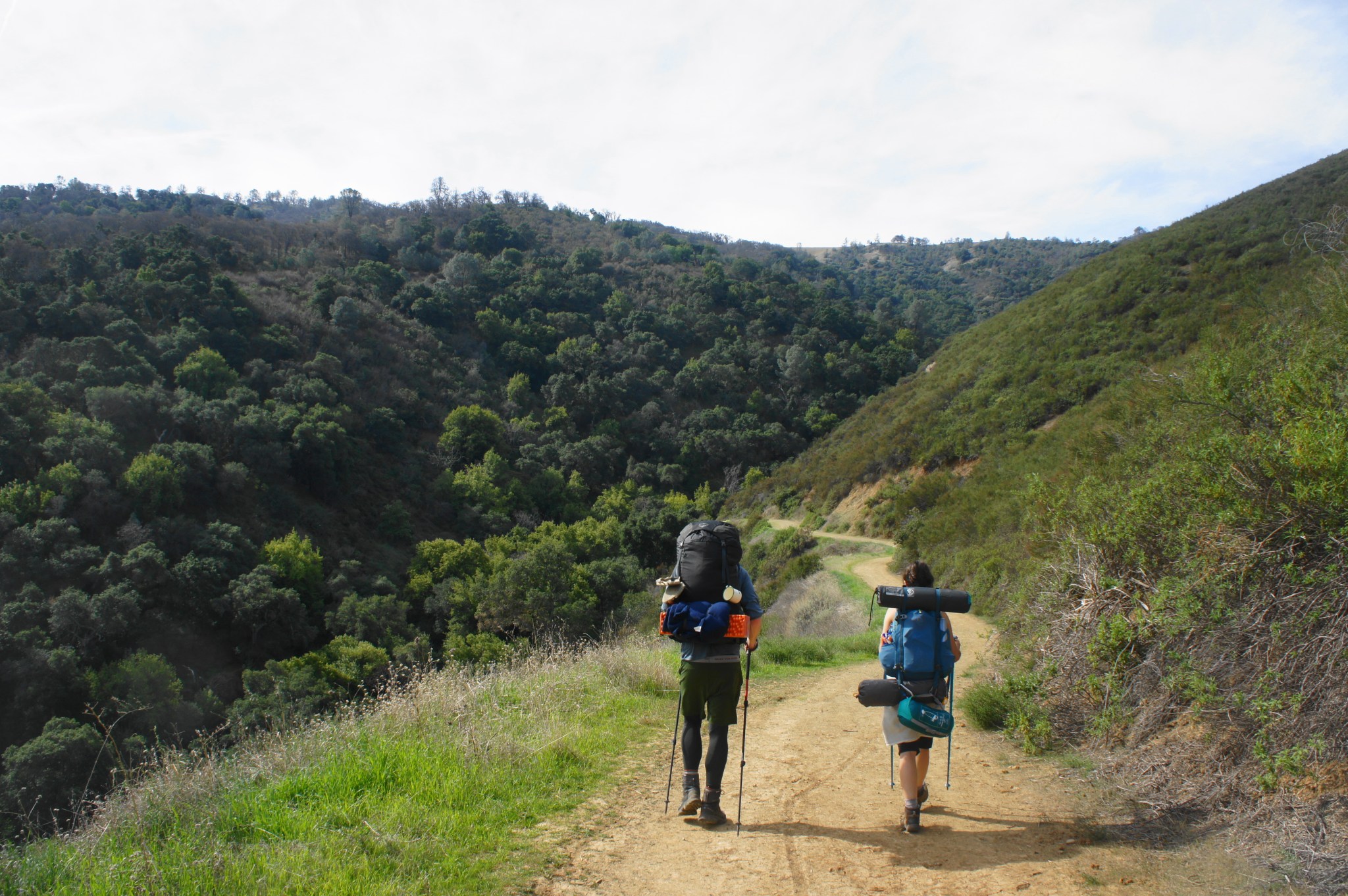 Ohlone Wilderness Trail (Ohlone Regional Wilderness, CA) – Live and Let ...