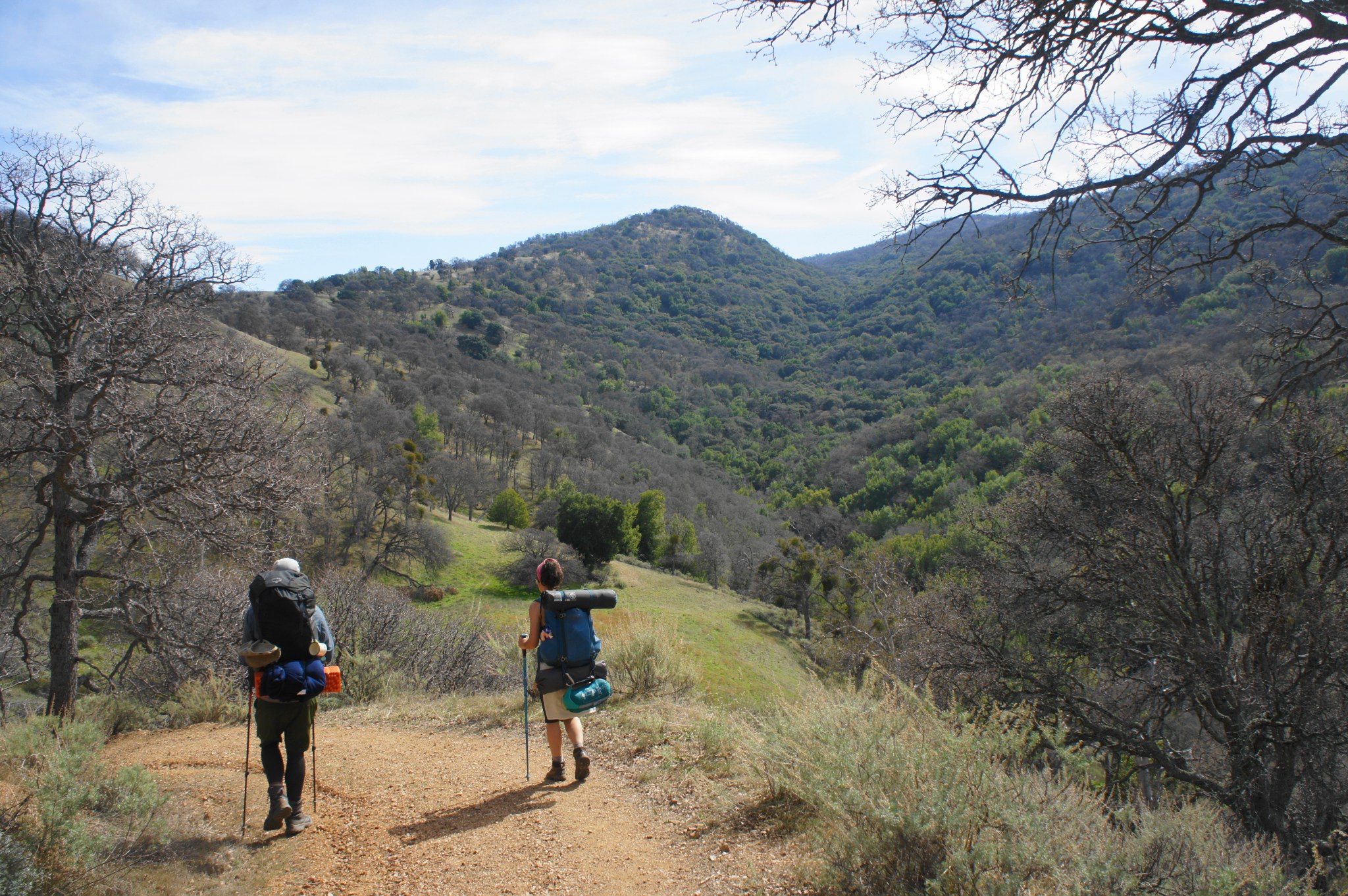 Ohlone Wilderness Trail (Ohlone Regional Wilderness, CA) – Live and Let ...