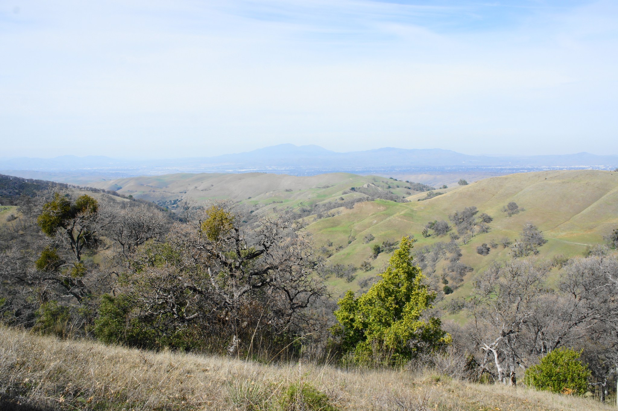 Ohlone Wilderness Trail (Ohlone Regional Wilderness, CA) – Live and Let ...