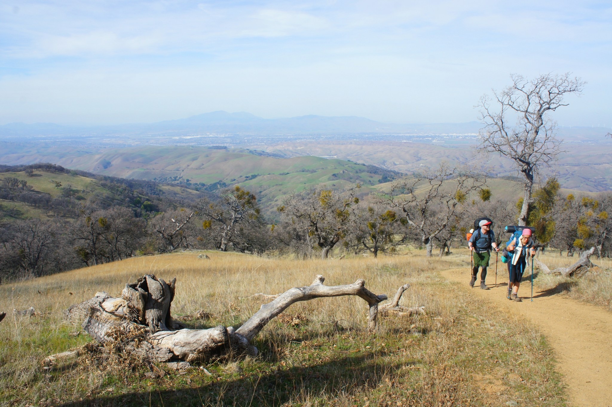 Ohlone Wilderness Trail (Ohlone Regional Wilderness, CA) – Live and Let ...