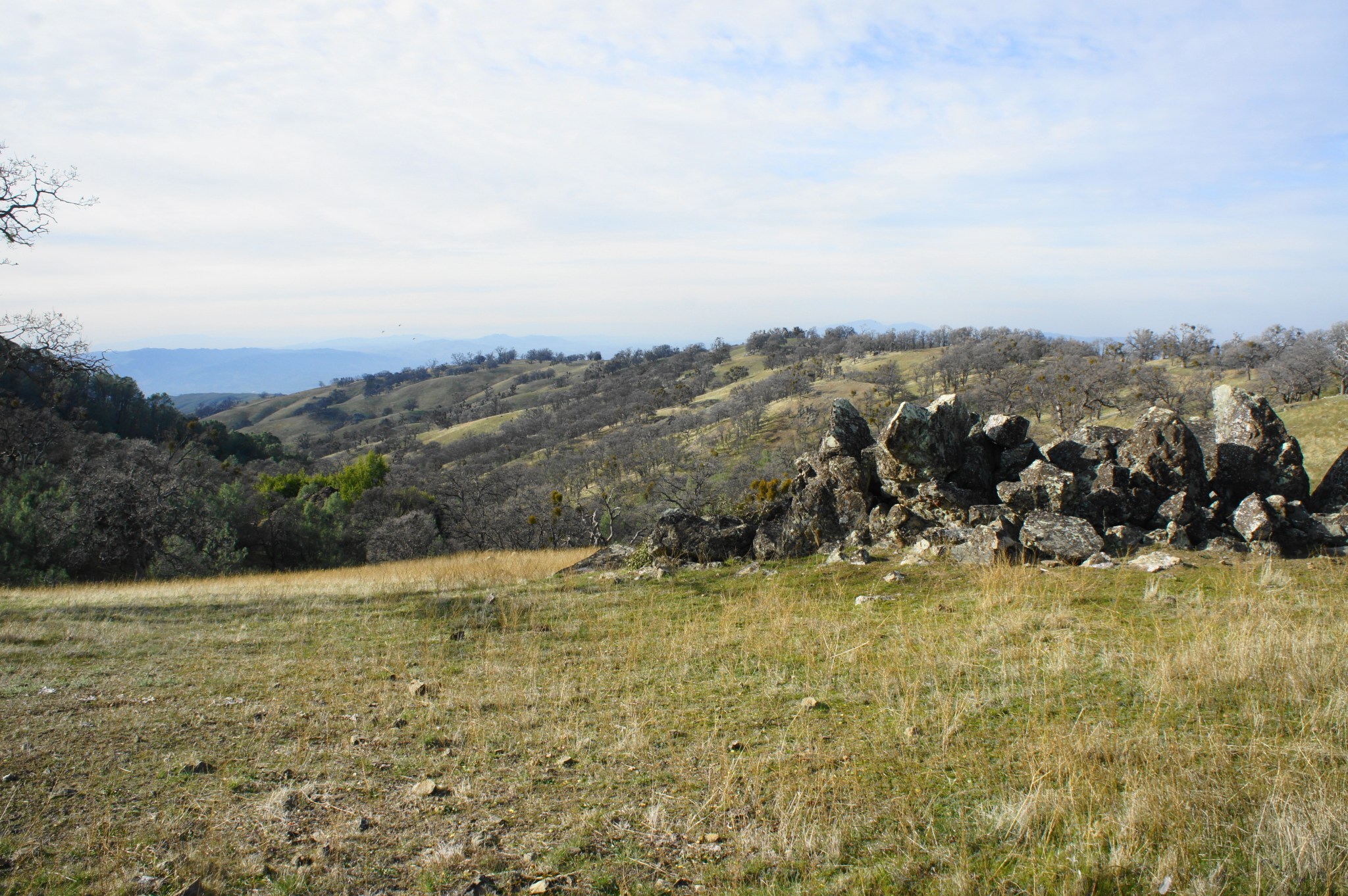 Ohlone Wilderness Trail (Ohlone Regional Wilderness, CA) – Live and Let ...