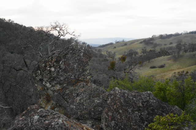 Ohlone Wilderness Trail (Ohlone Regional Wilderness, CA) – Live and Let ...
