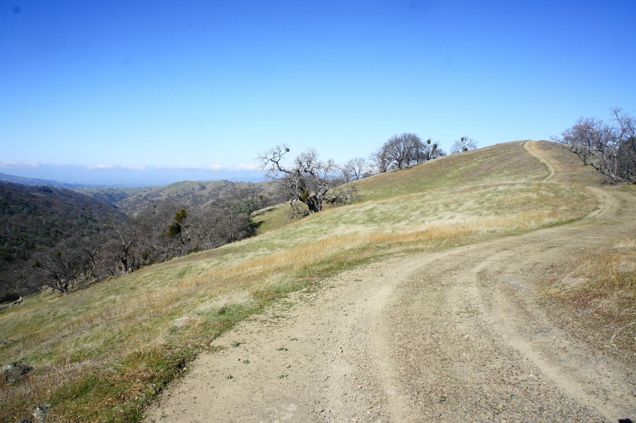 Ohlone Wilderness Trail (Ohlone Regional Wilderness, CA) – Live and Let ...