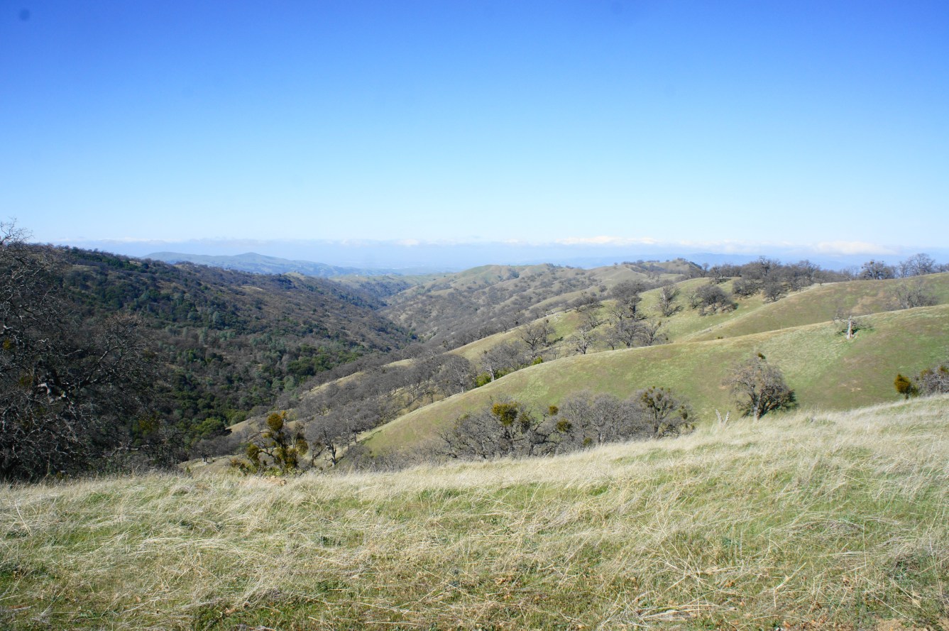 Ohlone Wilderness Trail (Ohlone Regional Wilderness, CA) – Live and Let ...