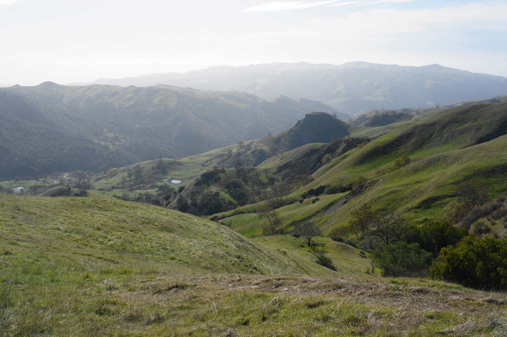 Ohlone Wilderness Trail (Ohlone Regional Wilderness, CA) – Live and Let ...