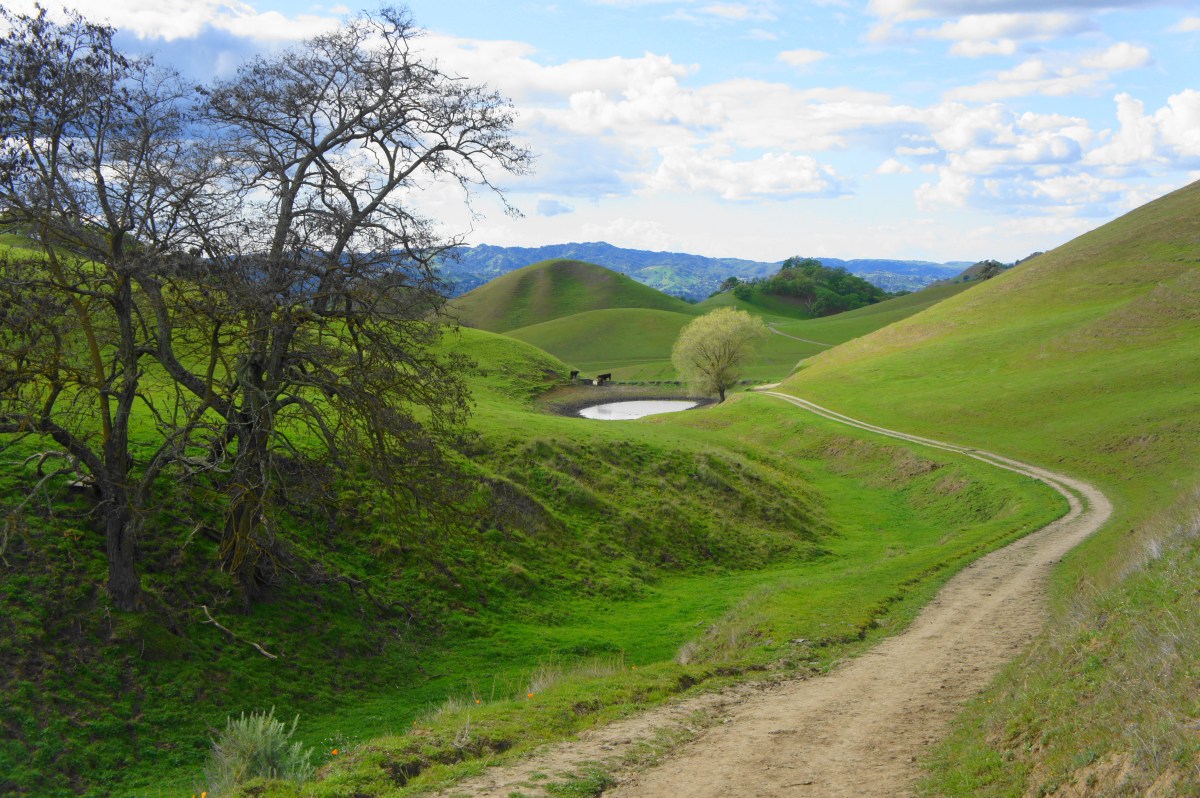 Diablo Foothills Loop (Diablo Foothills Regional Park, CA) – Live and ...