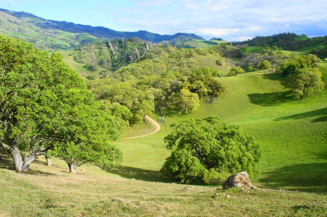 Diablo Foothills Loop (Diablo Foothills Regional Park, CA) – Live and ...