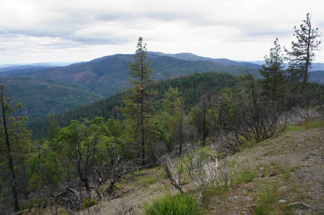 Snow Mountain Loop via Deafy Glade Trail (Snow Mountain Wilderness, CA ...