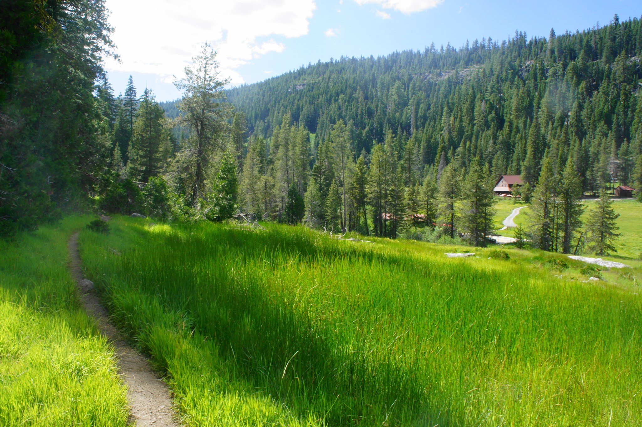 Terminal Geyser, Little Willow Lake, & Boiling Springs Lake (Lassen ...