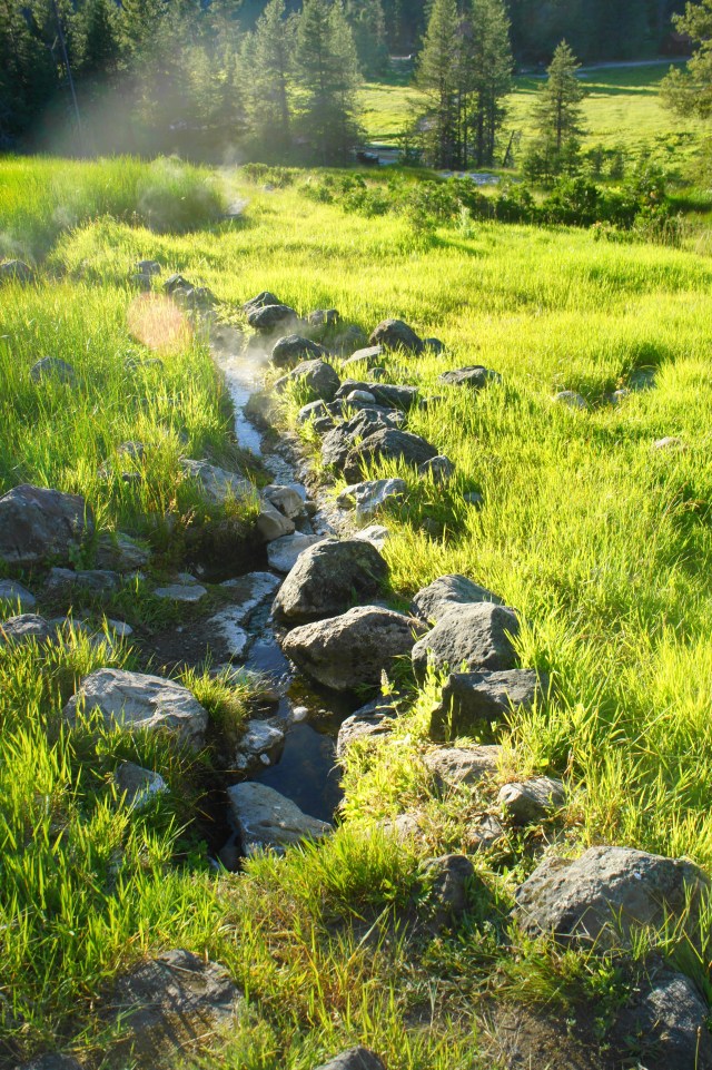 Terminal Geyser, Little Willow Lake, & Boiling Springs Lake (Lassen ...