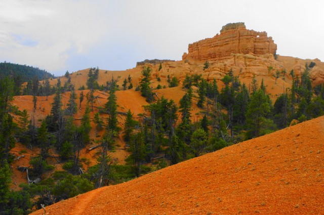 Buckhorn – Golden Wall Trail Loop (Dixie National Forest, UT) – Live ...