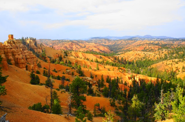 Buckhorn – Golden Wall Trail Loop (Dixie National Forest, UT) – Live ...