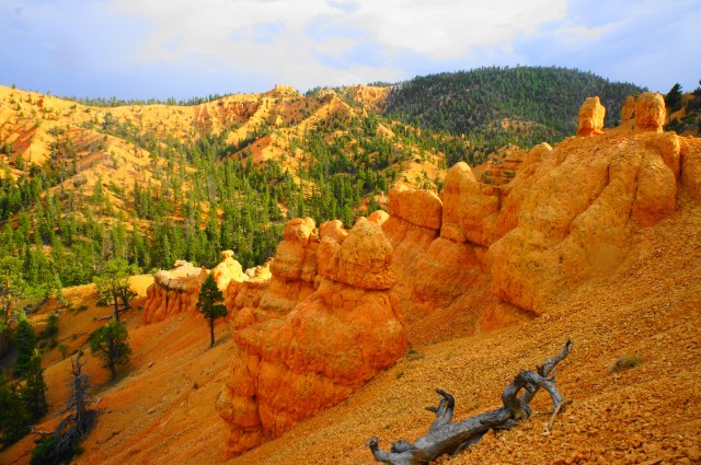 Buckhorn – Golden Wall Trail Loop (Dixie National Forest, UT) – Live ...