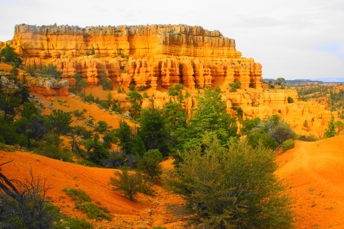 Buckhorn – Golden Wall Trail Loop (Dixie National Forest, UT) – Live ...