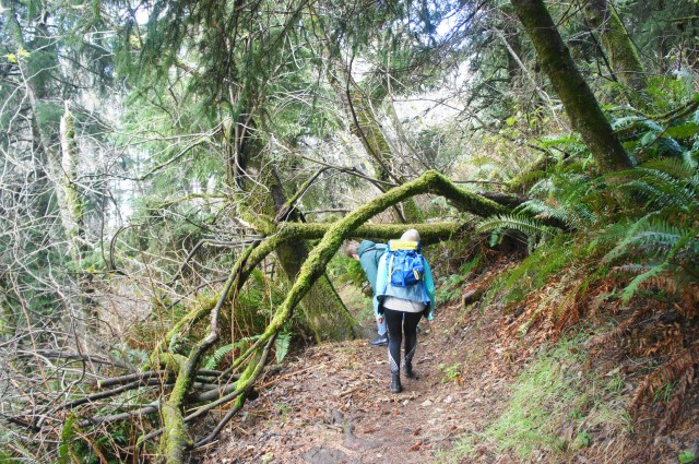 Thunder Rock Cove Loop (Samuel H. Boardman State Scenic Corridor, OR ...