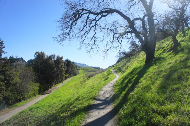 Ridge Top – Indian Creek Trail Loop (Shell Ridge Open Space, CA) – Live ...