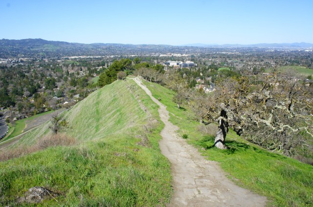 Ridge Top – Indian Creek Trail Loop (Shell Ridge Open Space, CA) – Live ...