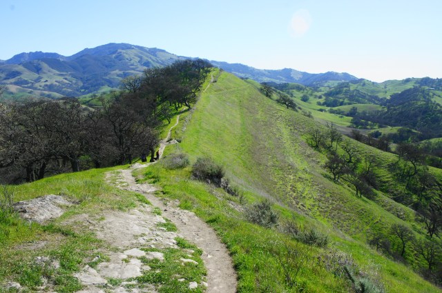 Ridge Top – Indian Creek Trail Loop (Shell Ridge Open Space, CA) – Live ...