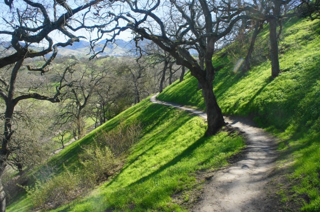 Ridge Top – Indian Creek Trail Loop (Shell Ridge Open Space, CA) – Live ...