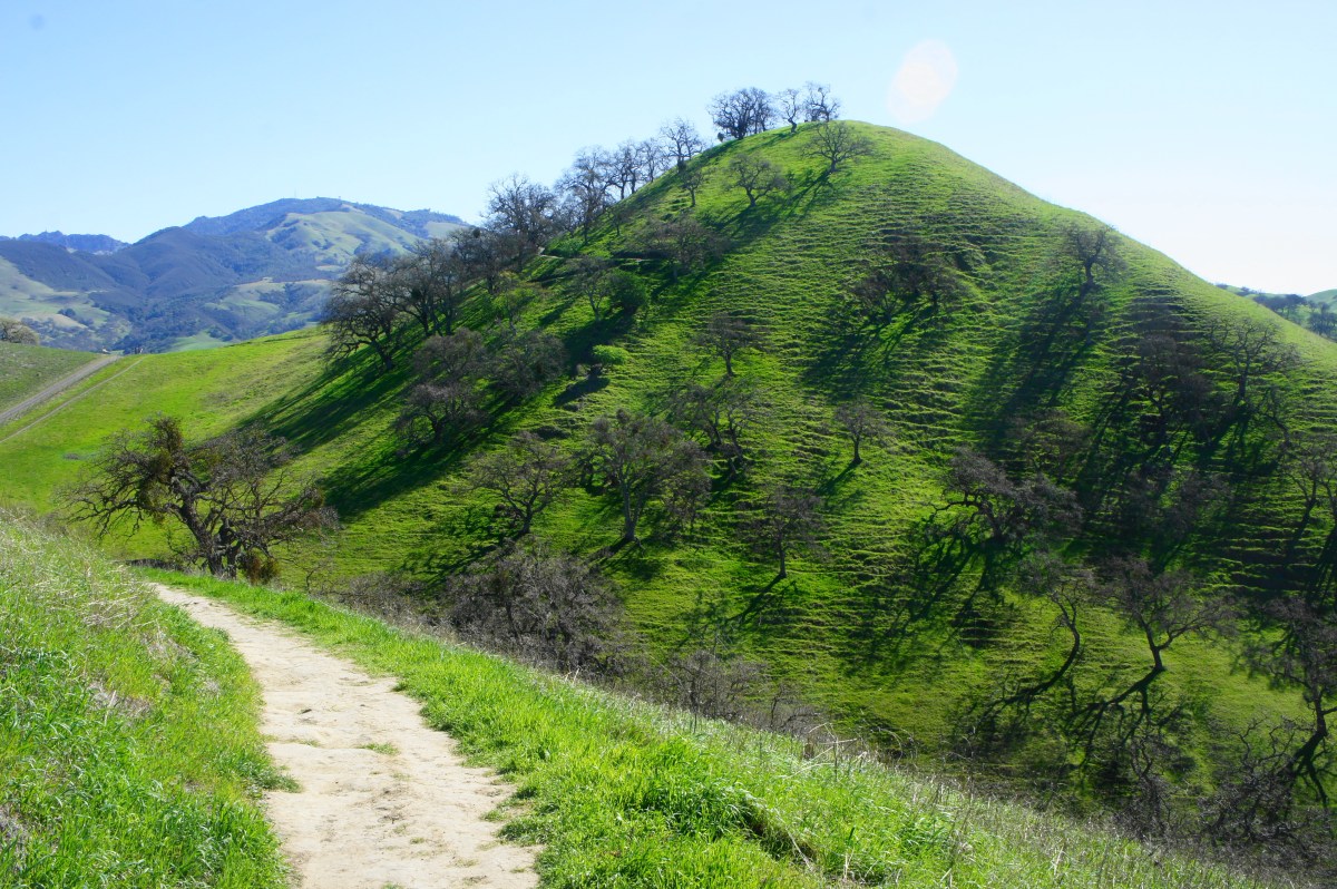 Ridge Top – Indian Creek Trail Loop (Shell Ridge Open Space, CA) – Live ...