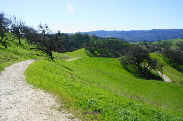 Ridge Top – Indian Creek Trail Loop (Shell Ridge Open Space, CA) – Live ...