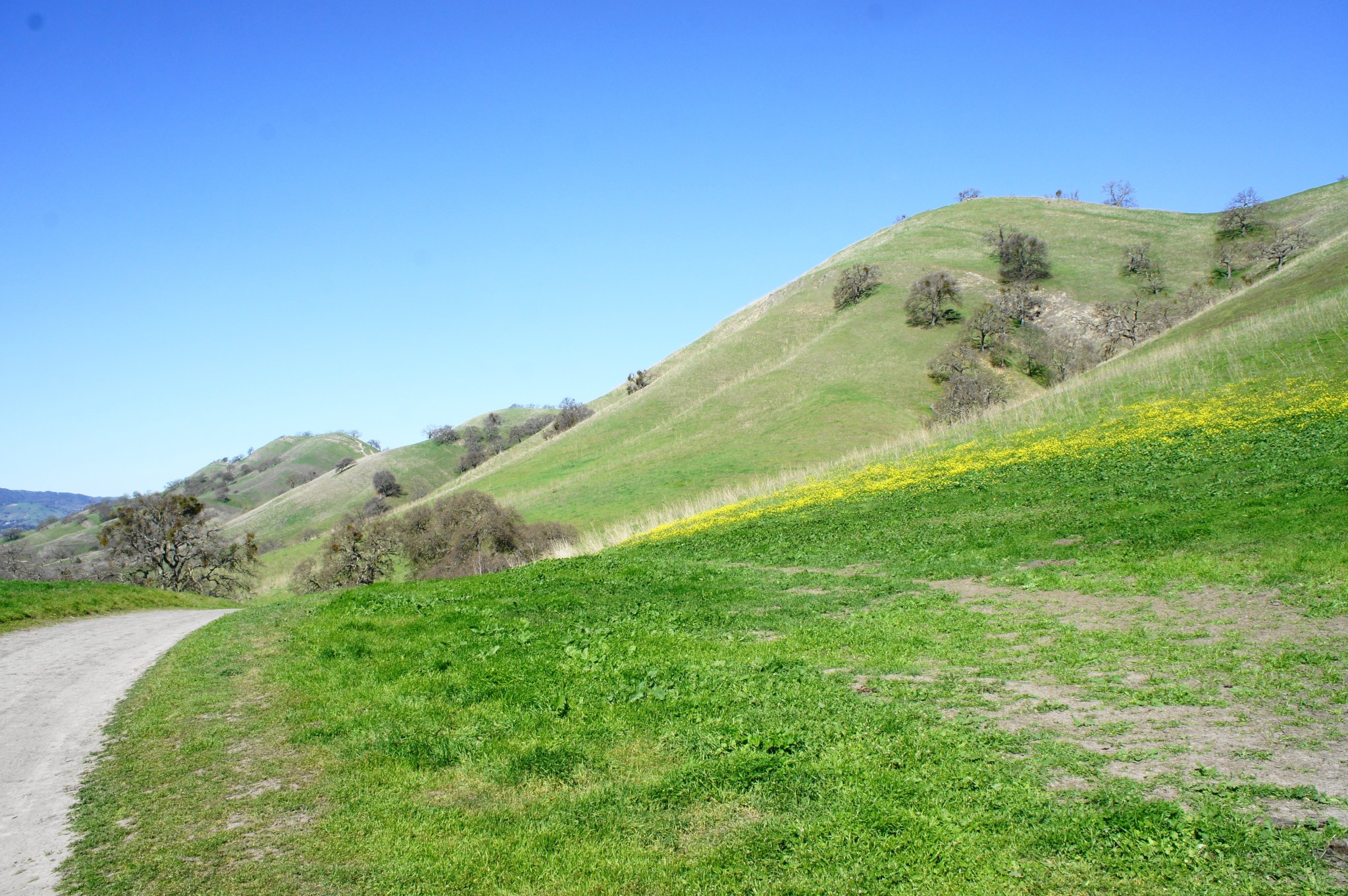 Ridge Top – Indian Creek Trail Loop (Shell Ridge Open Space, CA) – Live ...