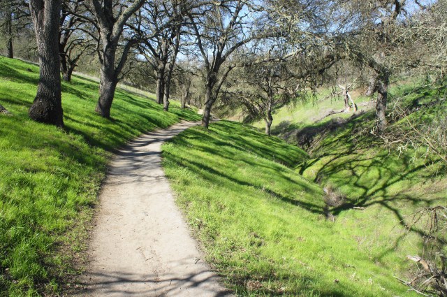 Ridge Top – Indian Creek Trail Loop (Shell Ridge Open Space, CA) – Live ...