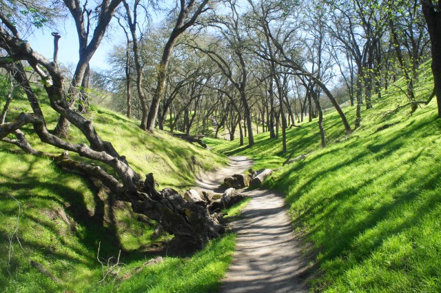 Ridge Top – Indian Creek Trail Loop (Shell Ridge Open Space, CA) – Live ...