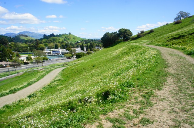 Lafayette Ridge Trail to Russell Peak (Briones Regional Park, CA ...