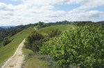 Lafayette Ridge Trail to Russell Peak (Briones Regional Park, CA ...