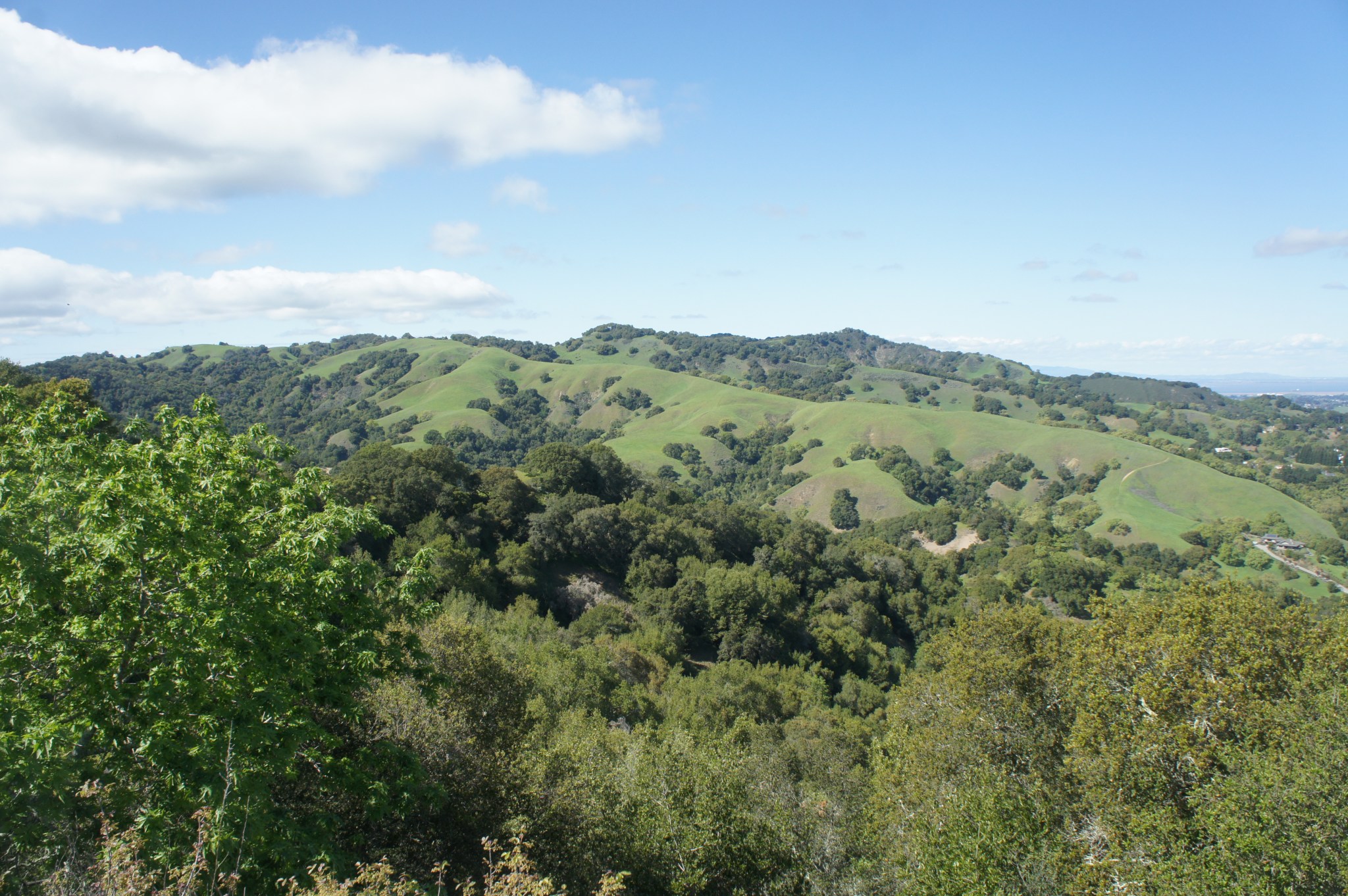 Lafayette Ridge Trail to Russell Peak (Briones Regional Park, CA ...