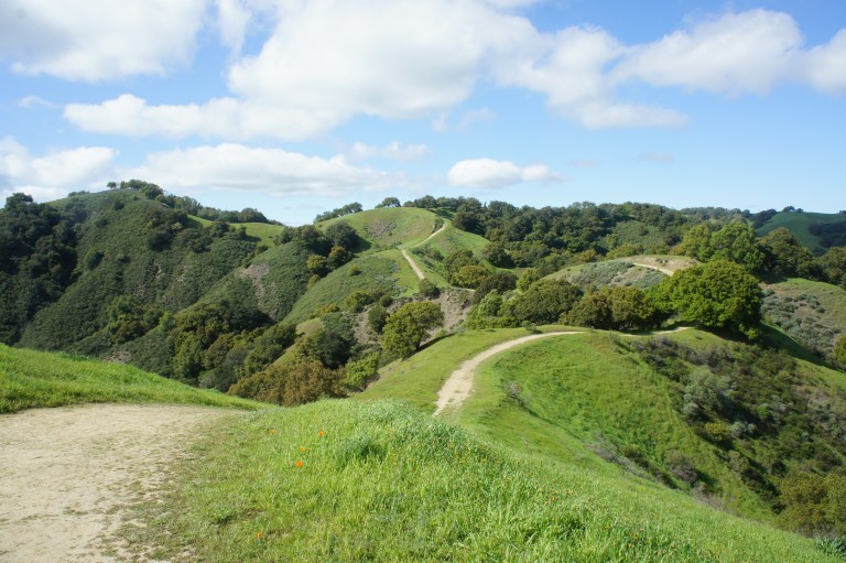 Lafayette Ridge Trail to Russell Peak (Briones Regional Park, CA ...