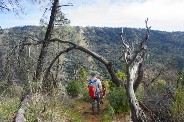 Middle Ridge – Manzanita Point Loop (Henry W. Coe State Park, CA ...