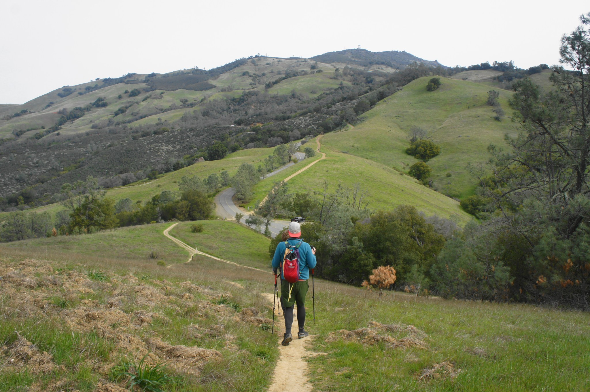 Mount Diablo via Macedo Ranch (Mount Diablo State Park, CA) – Live and ...