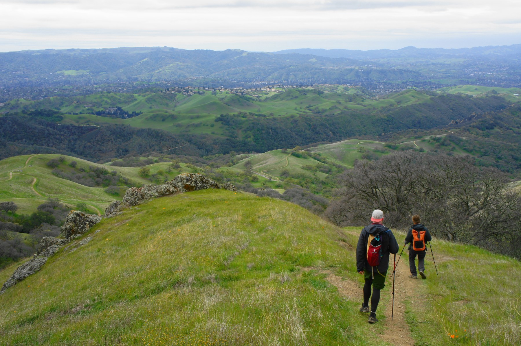 Mount Diablo via Macedo Ranch (Mount Diablo State Park, CA) – Live and ...