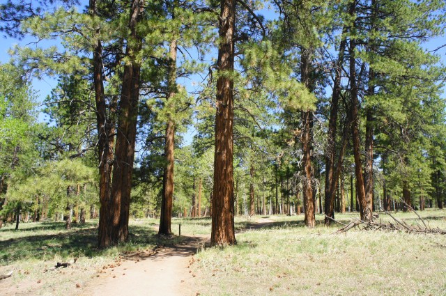 Bridle Path – Transept Trail Loop (Grand Canyon National Park, AZ ...