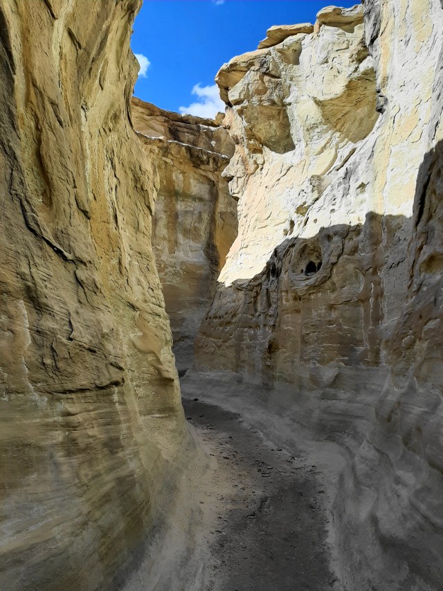 Wiregrass Canyon (Glen Canyon National Recreation Area, UT) – Live and ...