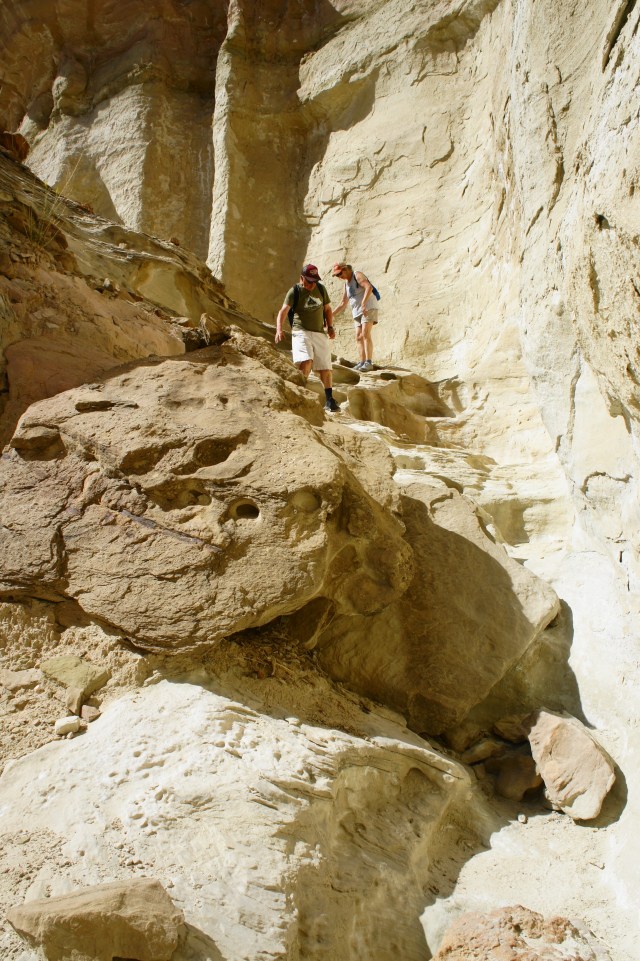 Wiregrass Canyon (Glen Canyon National Recreation Area, UT) – Live and ...